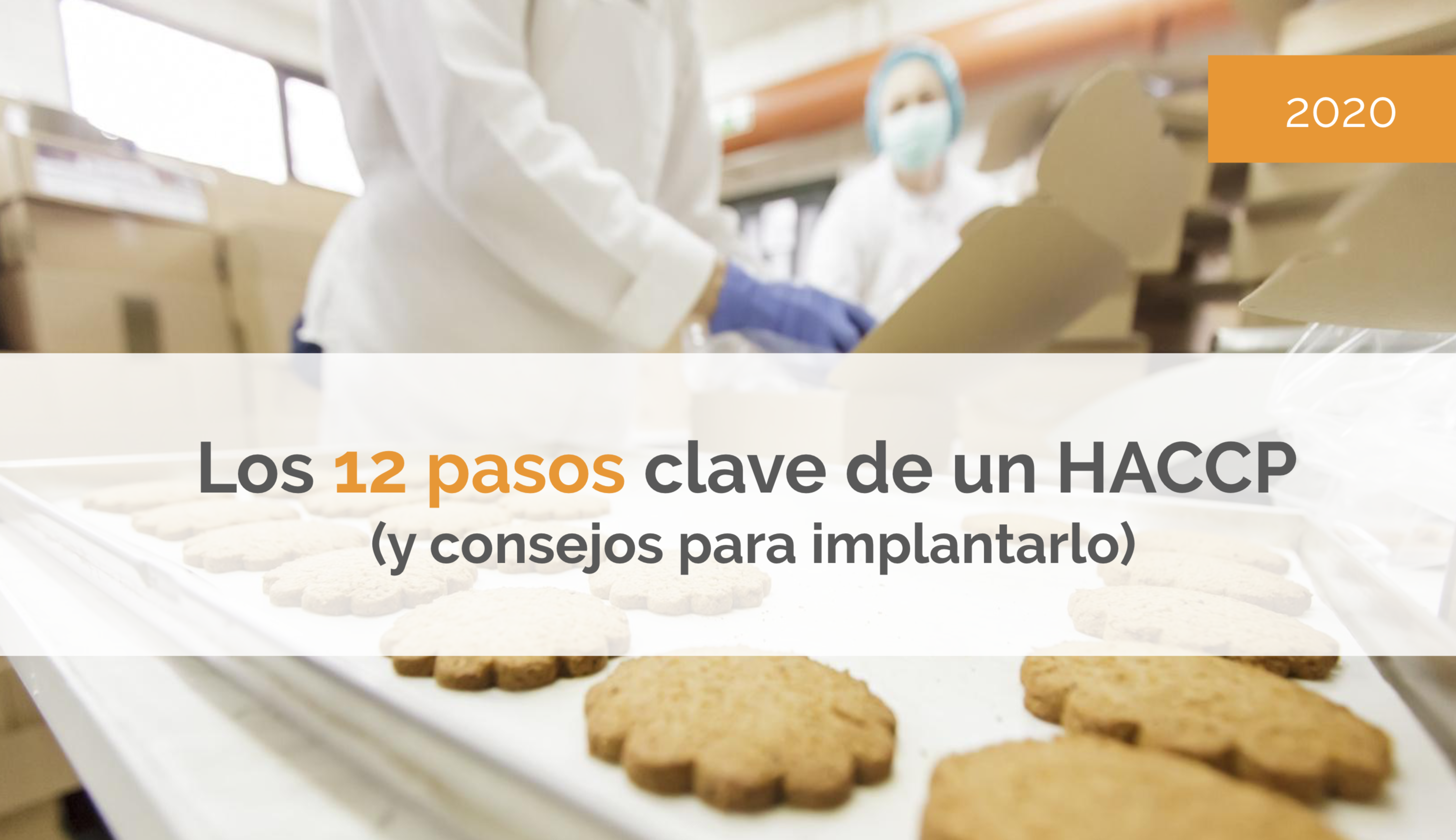HACCP - Guía "Las doce etapas clave de un HACCP"